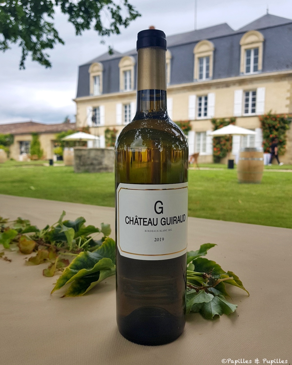 Le Château Guiraud développe son offre œnotouristique