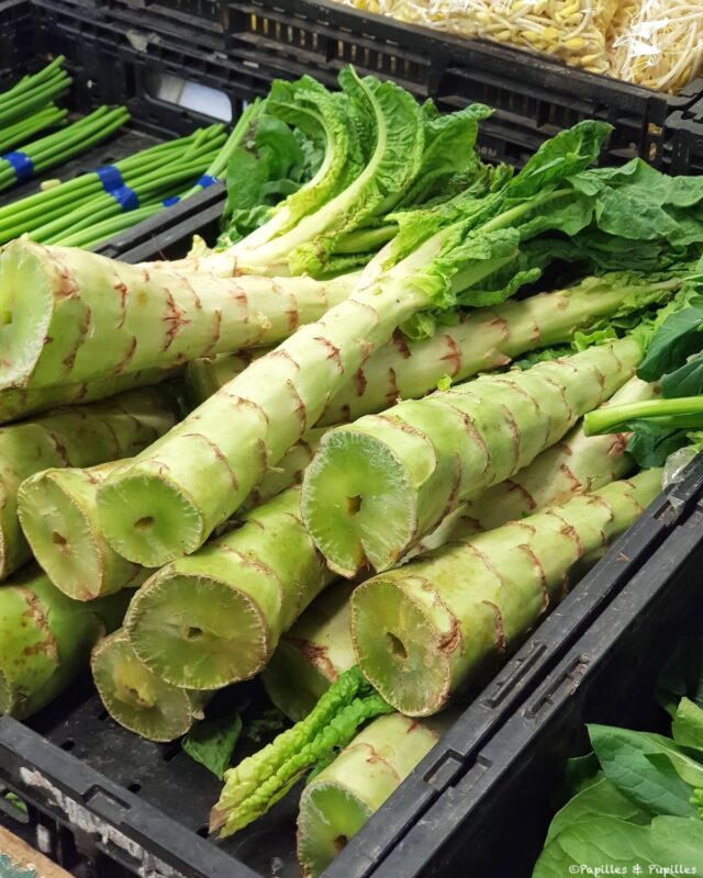 Laitue tige Celtuce (celtus), la laitue asperge ou chinoise