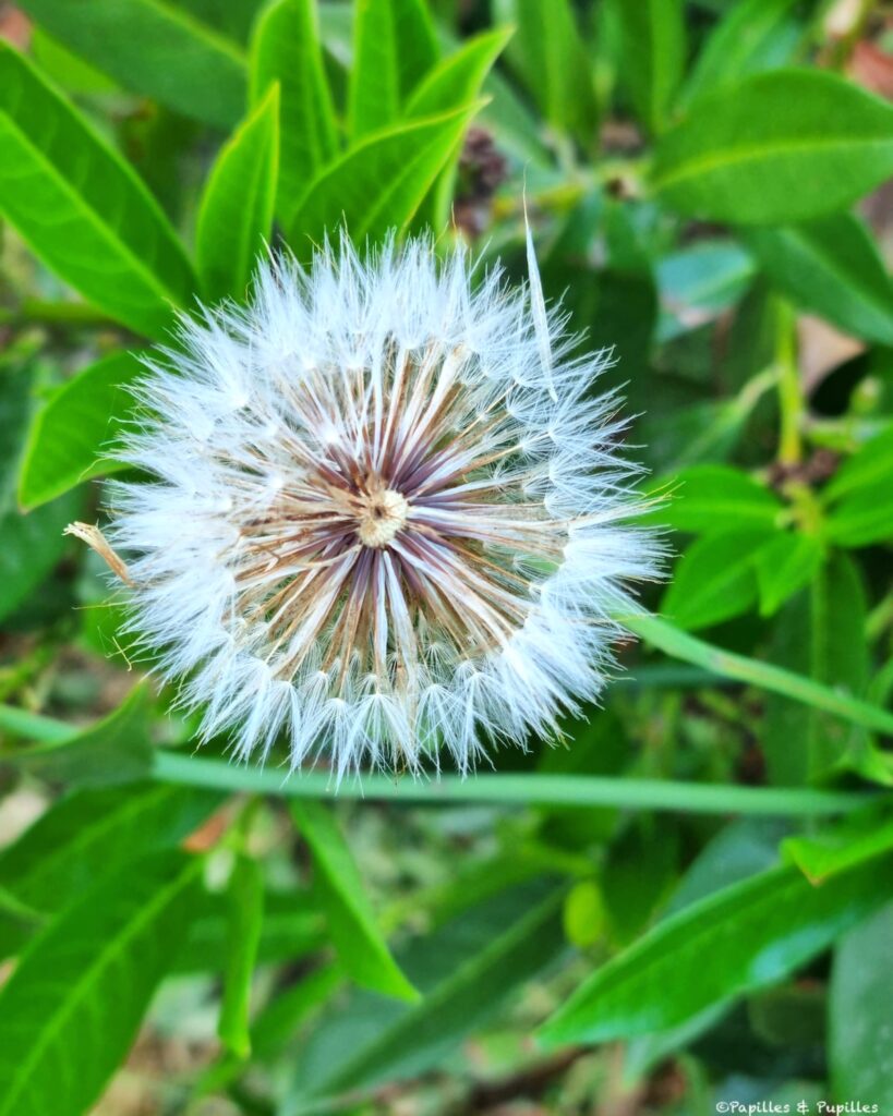 Plombières, Remiremont, Val d’Ajol : une destination nature