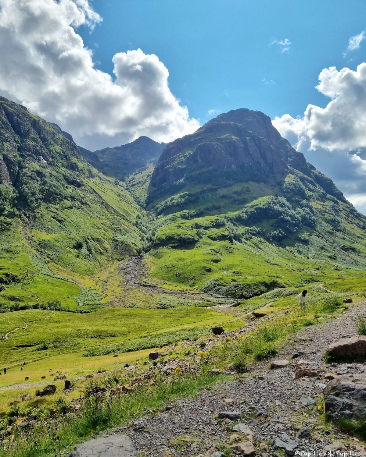 Road trip en Ecosse : Glencoe, Glenfinnan et Mallaig