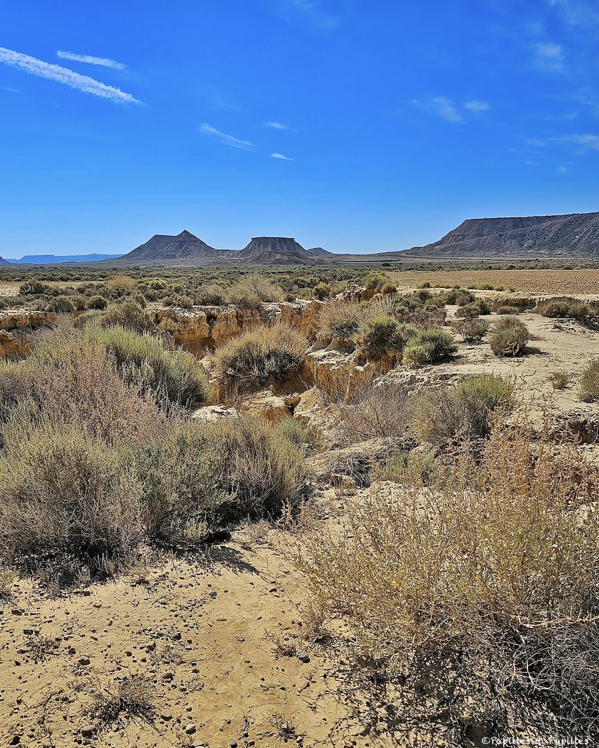 Le Désert des Bardenas : un paysage à couper le souffle