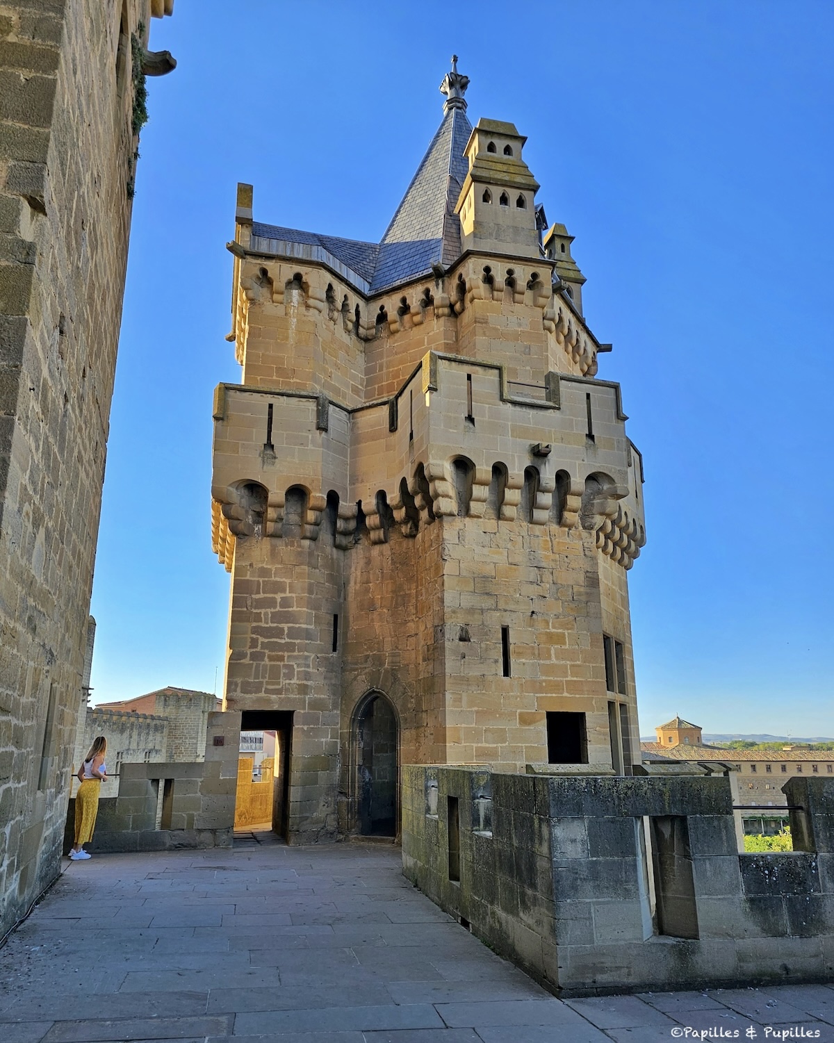 Que faire à Olite en Navarre : patrimoine et gastronomie