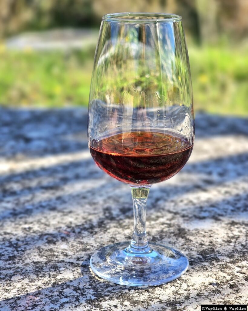 Patxaran : la liqueur basque anisée aux prunelles