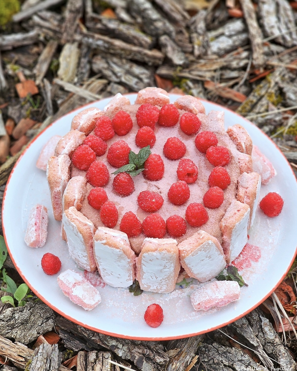 Desserts d’été : frais, fruités, simples, toujours gourmands