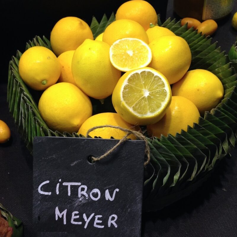 Calamansi : le citron philippin (calamondin)