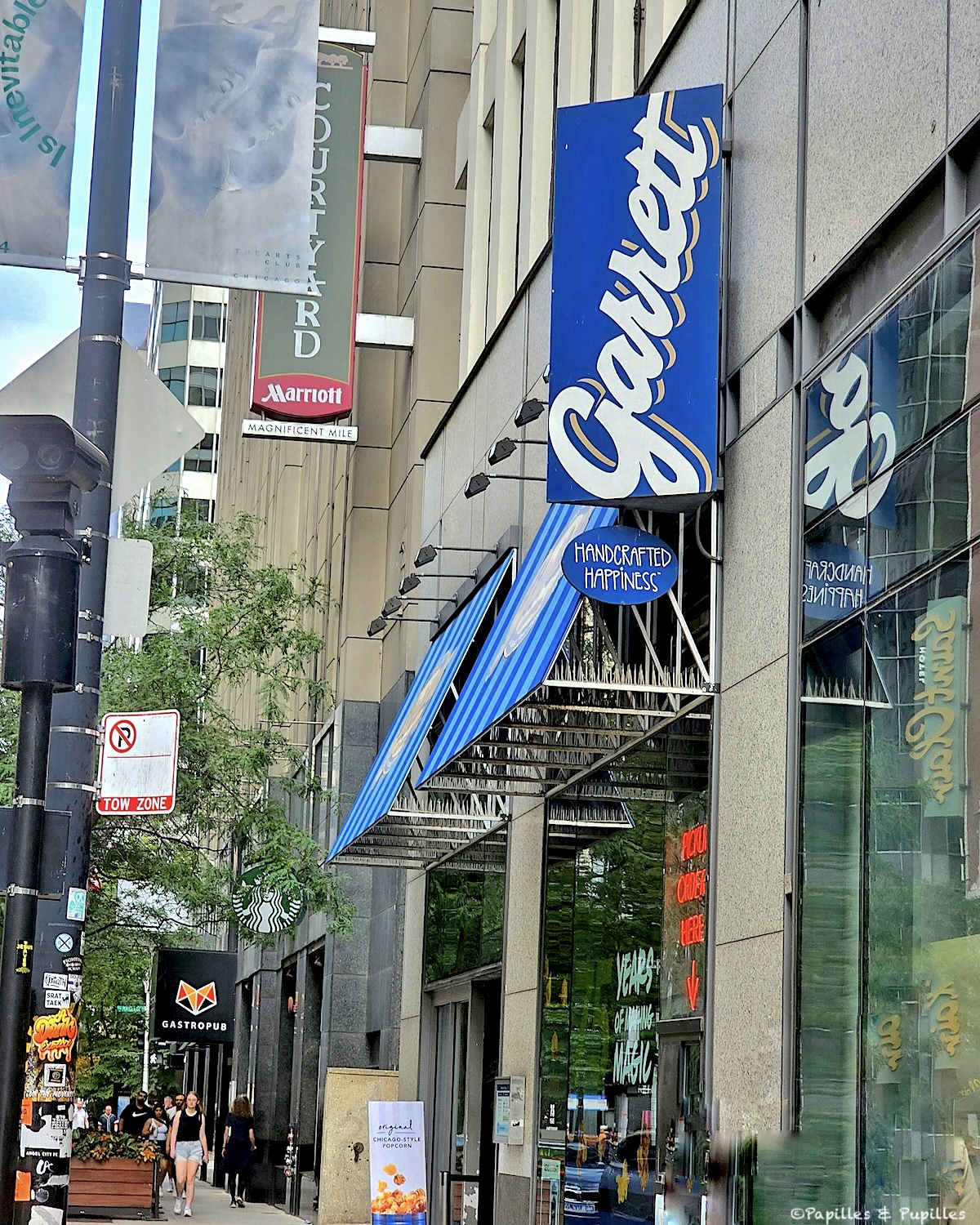 Voyage à Chicago : une diversité de paysages et de saveurs