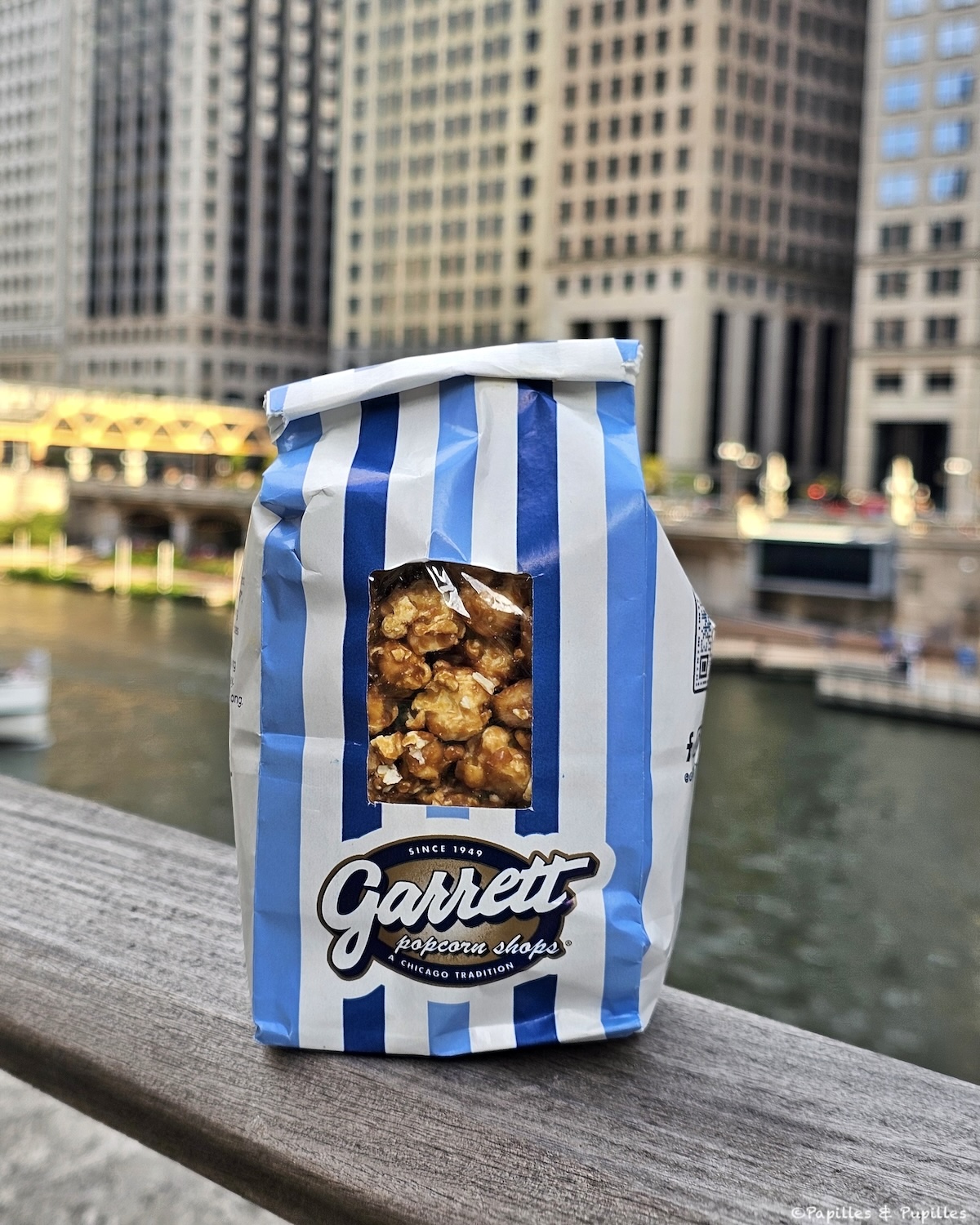Voyage à Chicago : une diversité de paysages et de saveurs