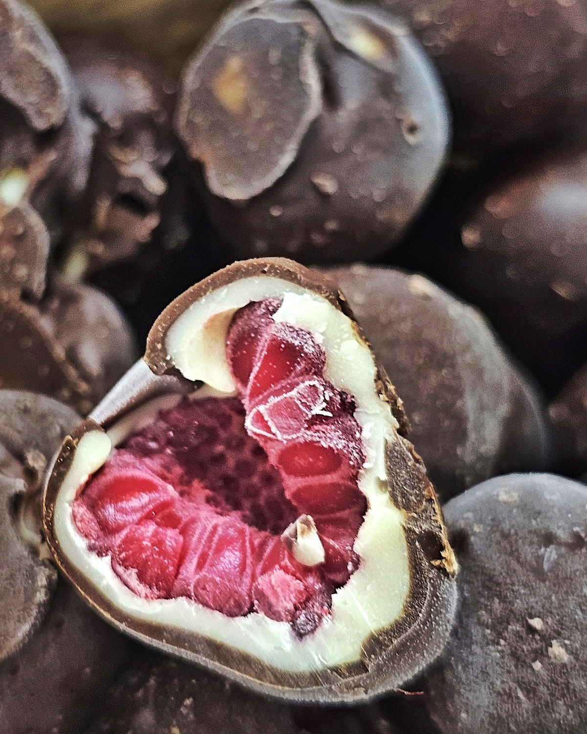 Franui®, des framboises glacées enrobées de chocolat