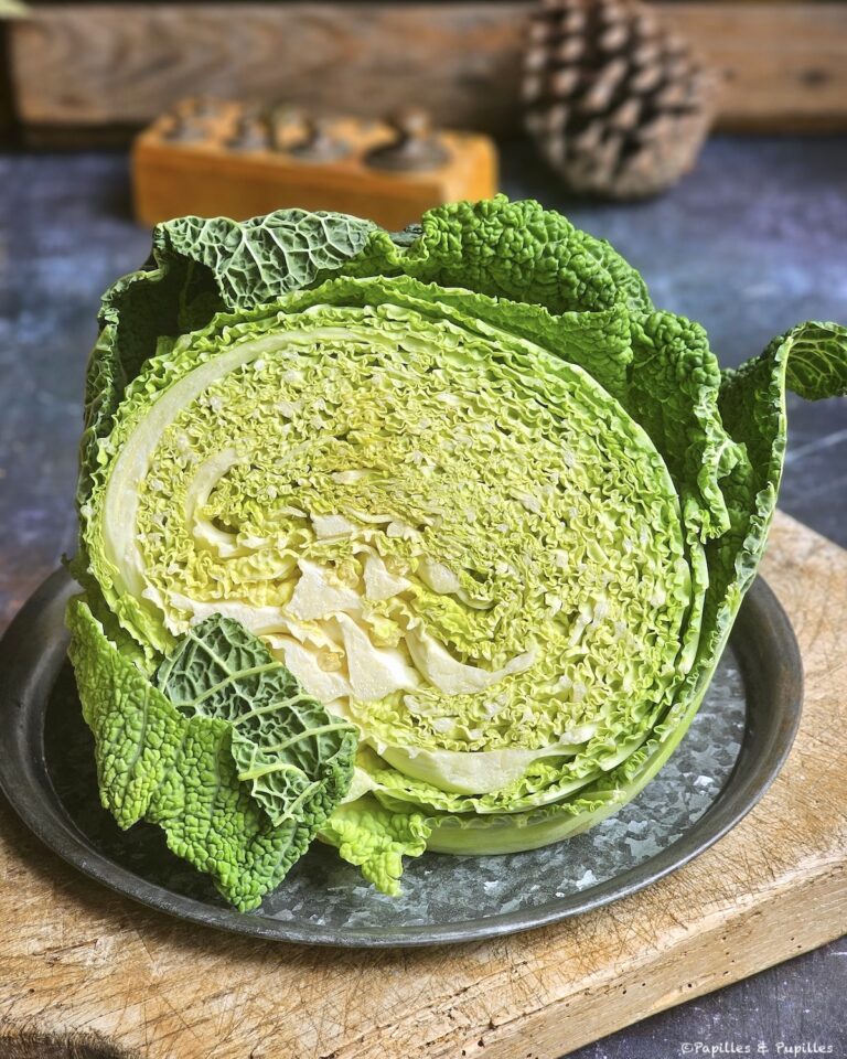 Potée auvergnate : traditions, terroir et recette familiale