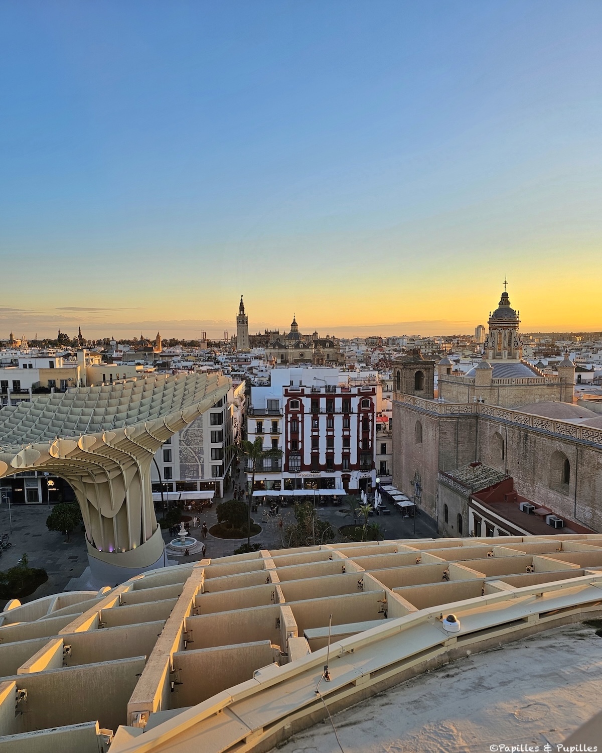 Setas de Séville (Metropol Parasol) : un vrai coup de cœur