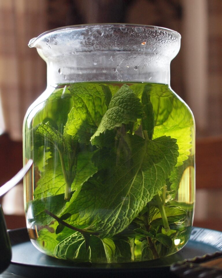 Infusion à la mélisse : apaisante et savoureuse
