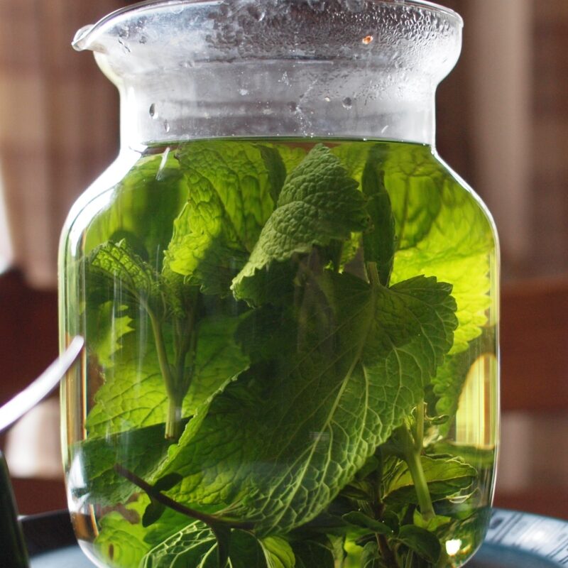 Infusion au gingembre maison : des bienfaits pour la santé