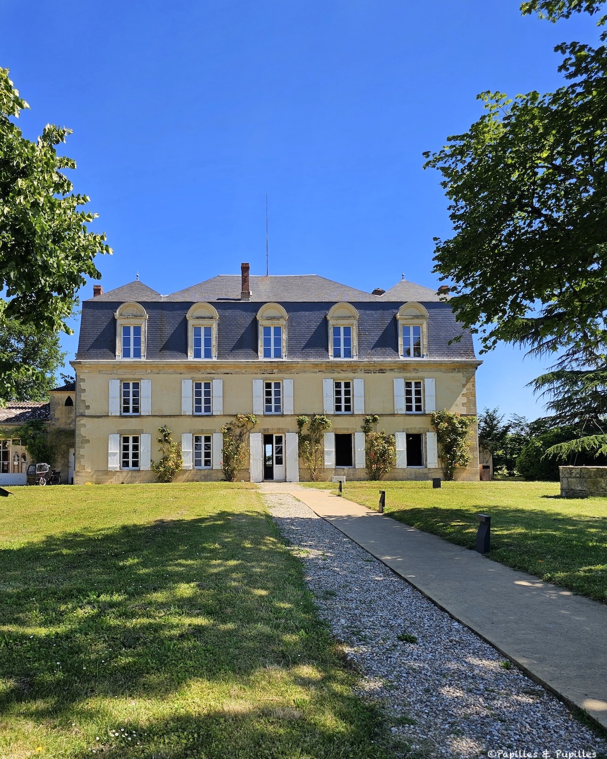 Le Cercle Guiraud à Sauternes : une table à suivre de près