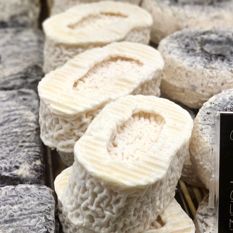 Jonchée : le délicieux fromage frais Charentais