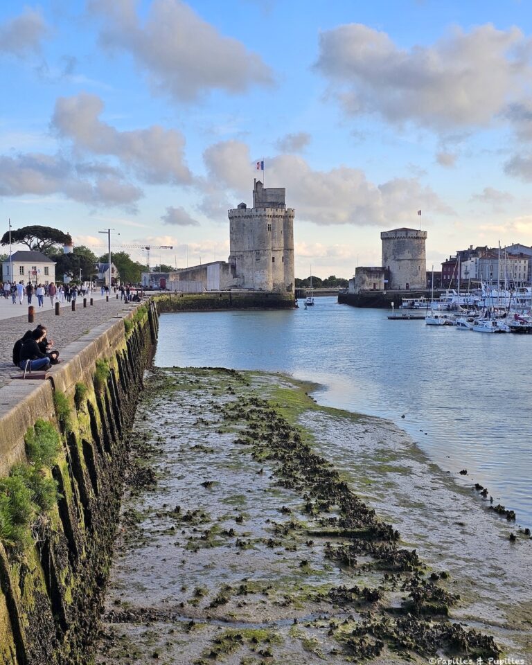 Week-end à l’Île de Ré et La Rochelle : escapade iodée