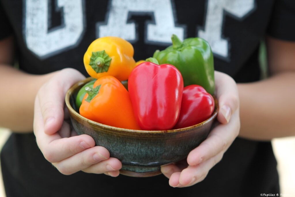 Poivrons : 3 idées simples à cuisiner ce soir