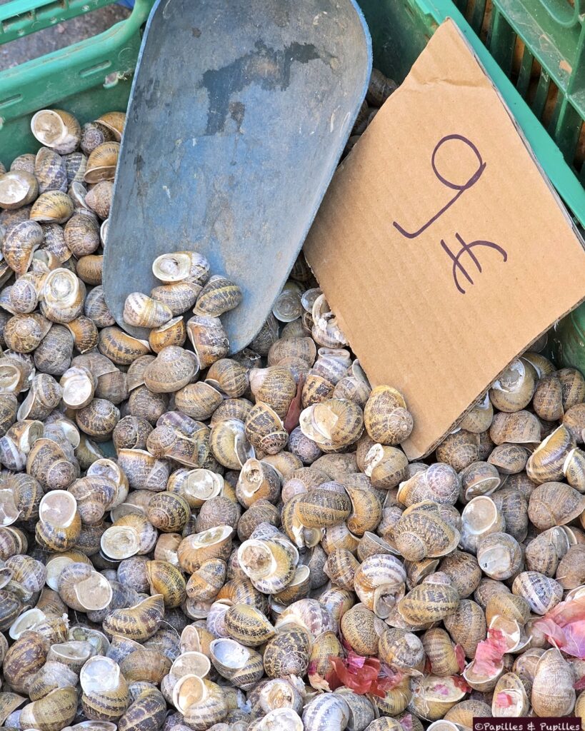 Escargots à la crétoise (Chochlioí boubouristí)
