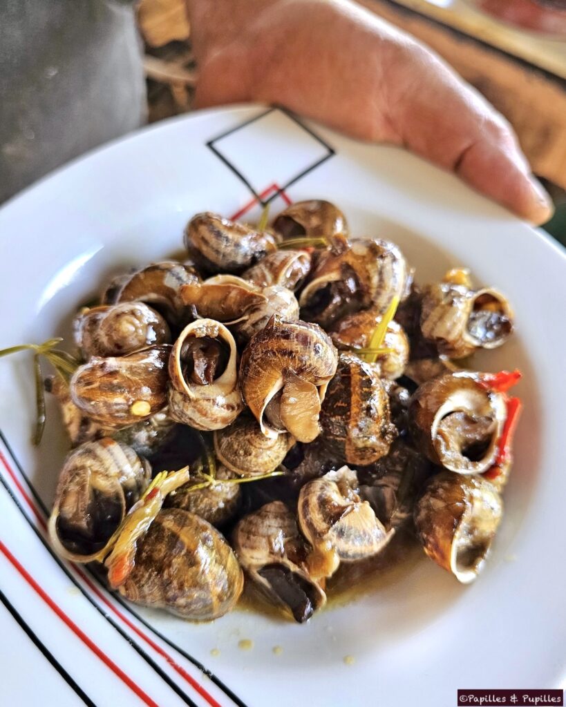 Escargots à la crétoise (Chochlioí boubouristí)